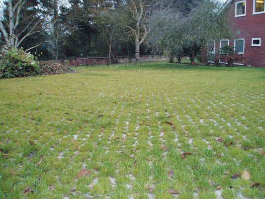Grassblock | Grass Concrete System for Slope Protection