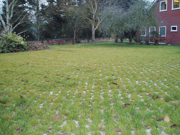 grassblock - Grasscrete