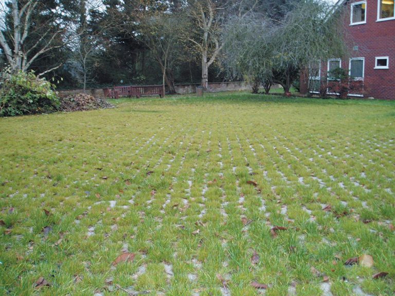 grassblock - Grasscrete