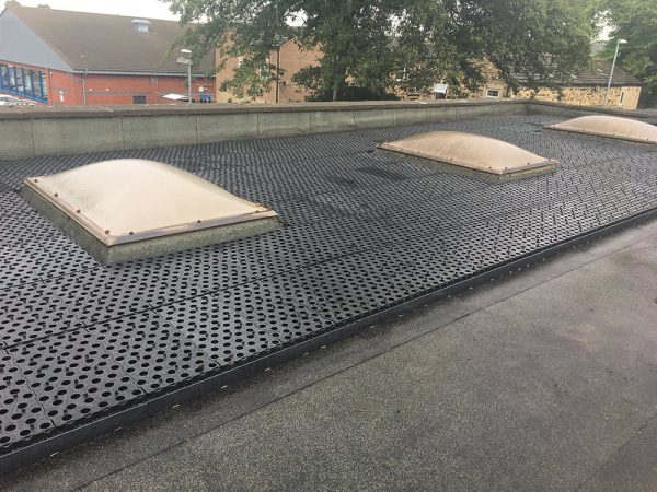 Grassroof | Green Roof Technology