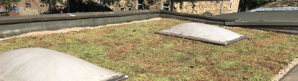 grass roof introduction - Grasscrete