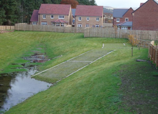 access 3 - Grasscrete