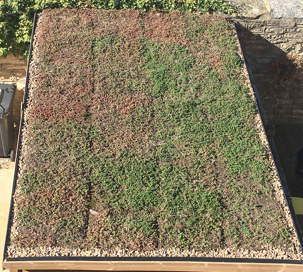 grass roof introduction - Grasscrete